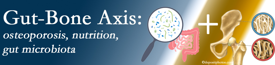 Richmond Gut-Bone Connection and Osteoporosis | Johnson Chiropractic