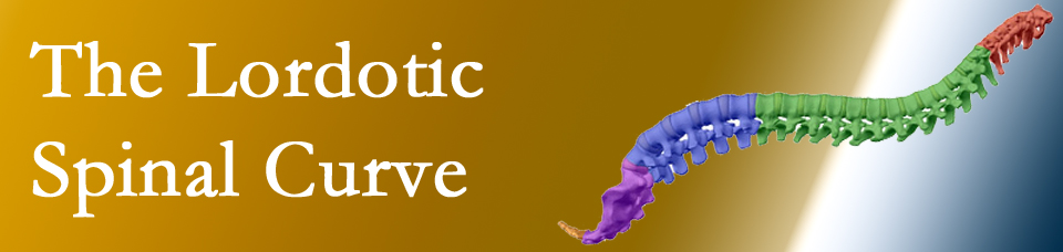 The Lordotic Spinal Curve and Richmond Chiropractic Care | Johnson ...